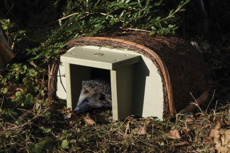 Haus für Igel – Gartentiere