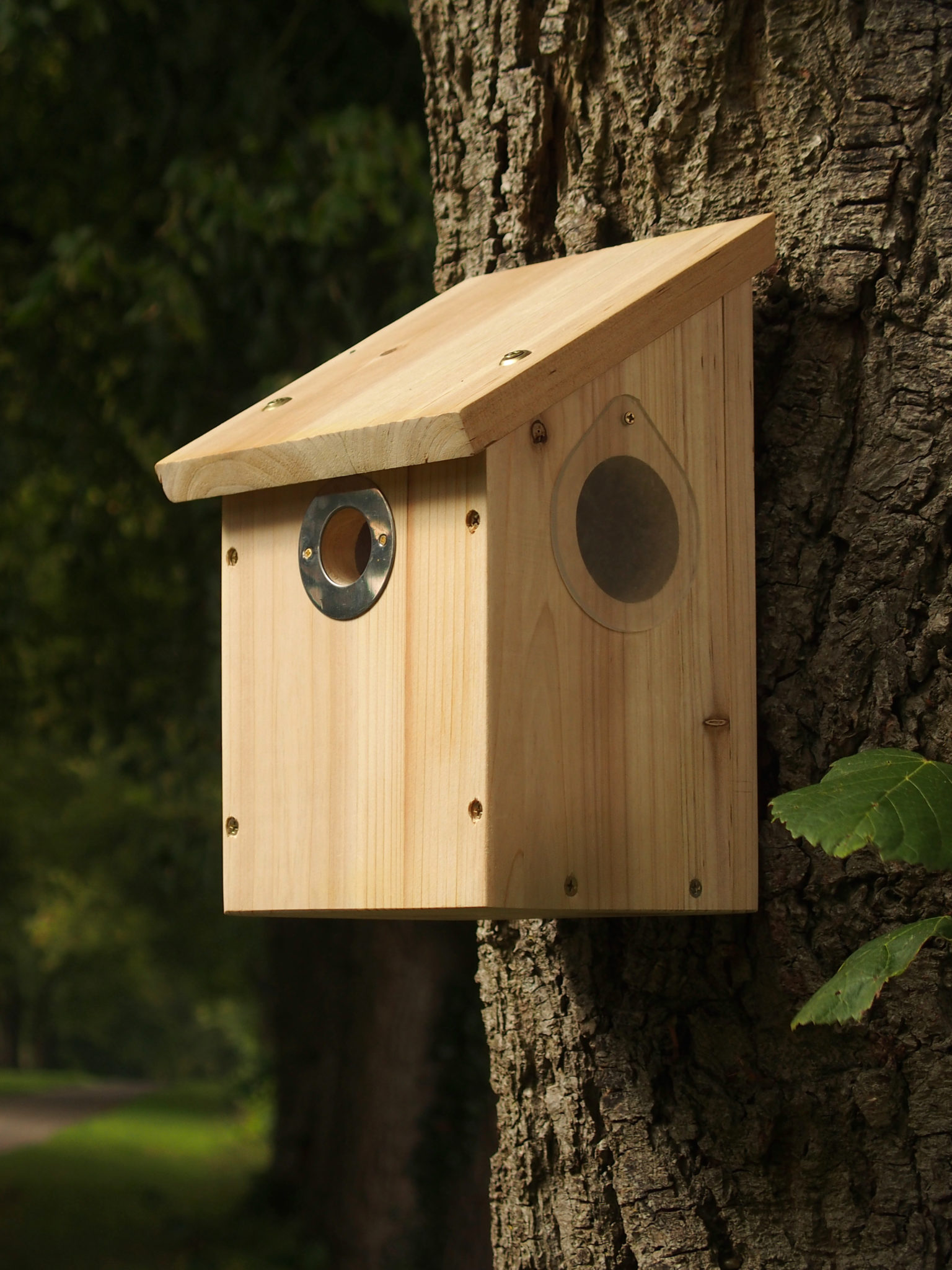 Nichoir observation (pour caméra) – Animaux du Jardin